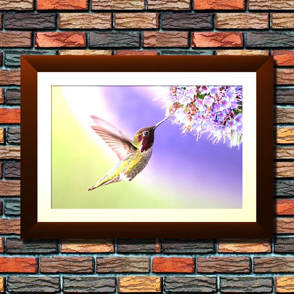 Humming Bird Wall Painting